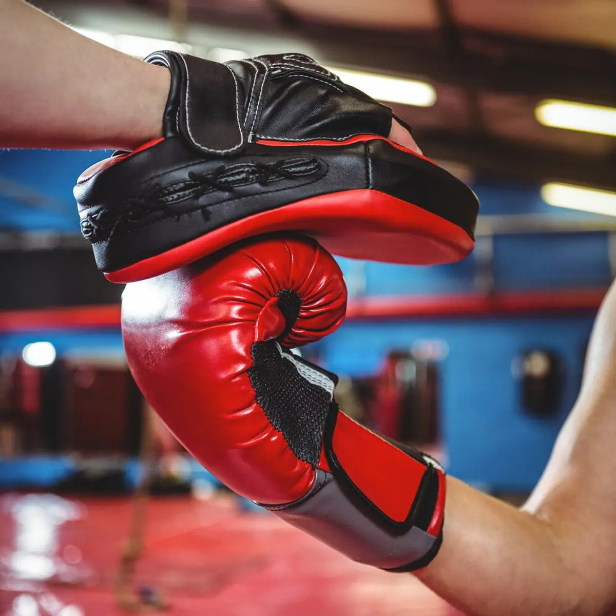 Affordable Home Boxing Equipment: Unleash Your Inner Fighter on a ...