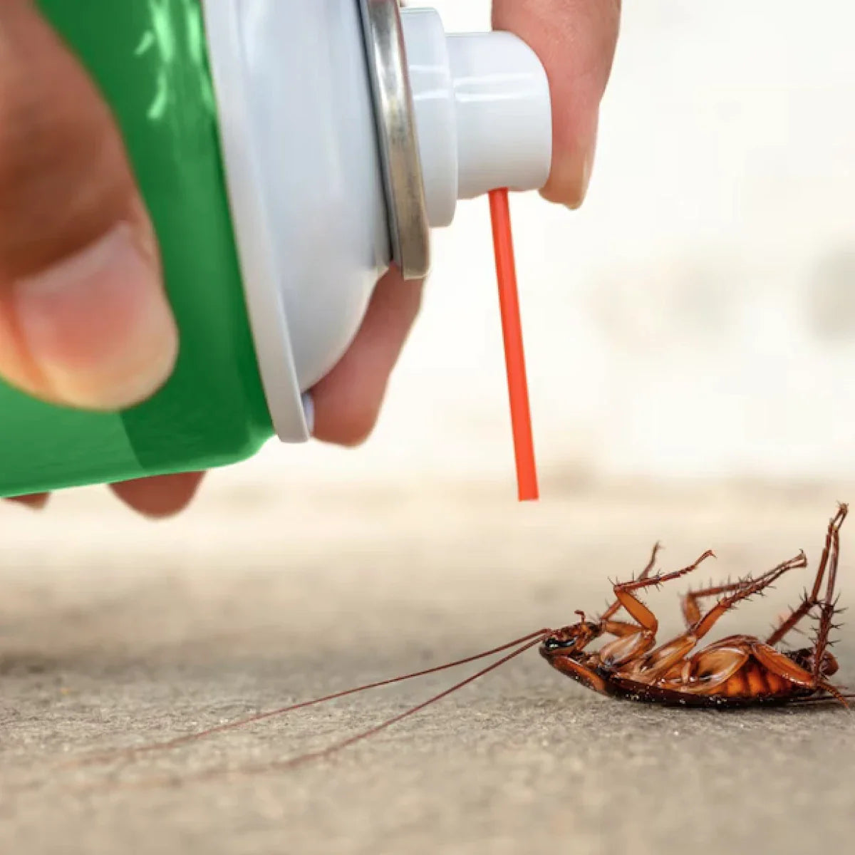 Pest Control – MR. D.I.Y. ECOMMERCE (M) SDN BHD